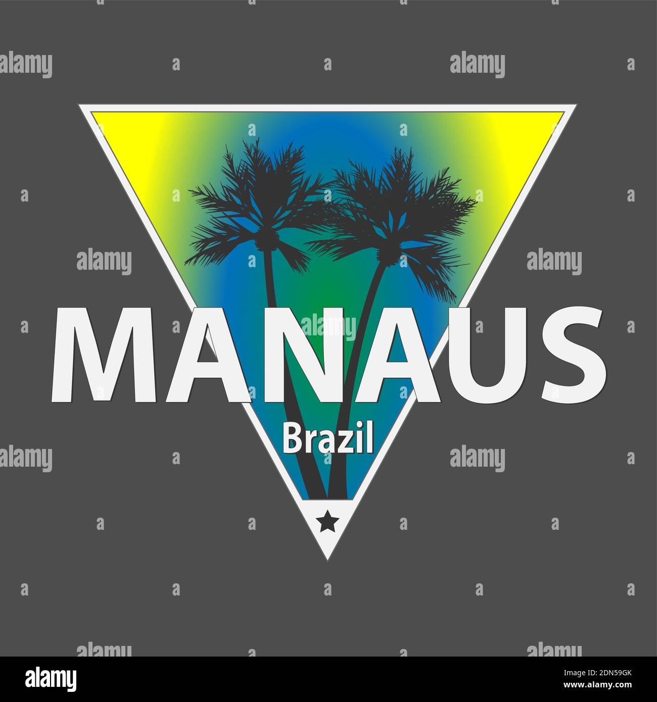 Manaus City in the Jungle Rainforest - Brazil, South America Stock ...