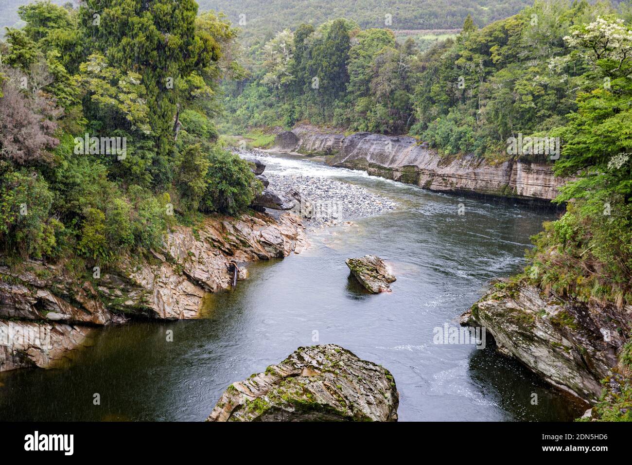 New zealand ecosystem hi-res stock photography and images - Alamy