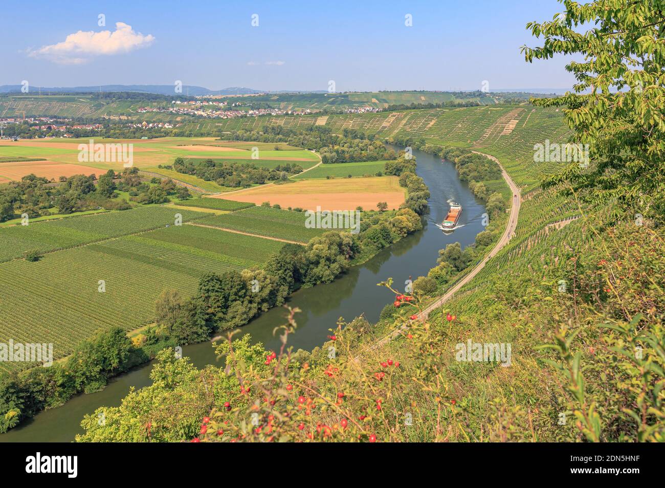 Hessigheim wine hi-res stock photography and images - Alamy