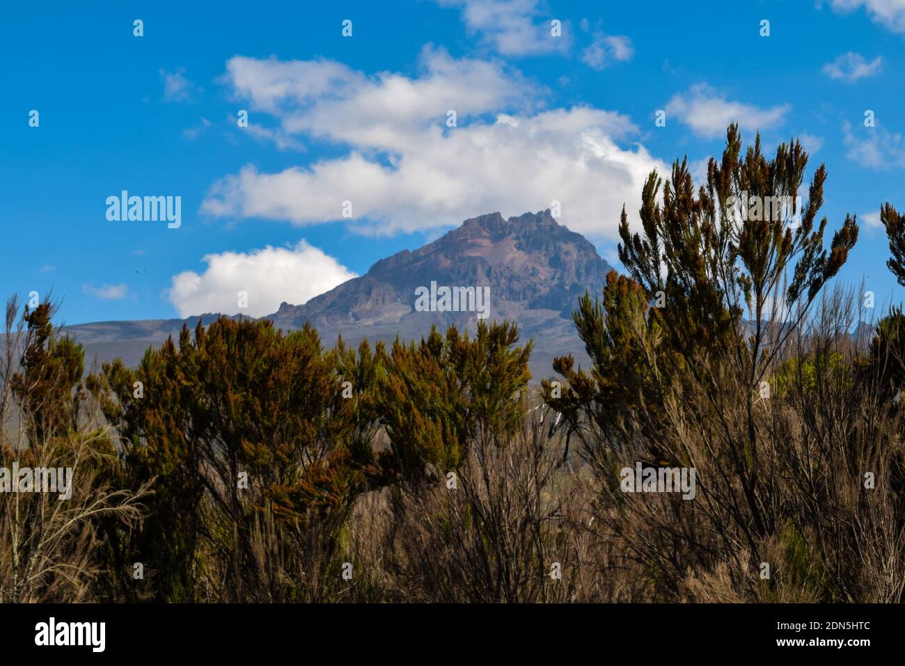 Scenic view of Mawenzi Peak, Mount Kilimanjaro, Tanzania Stock Photo ...