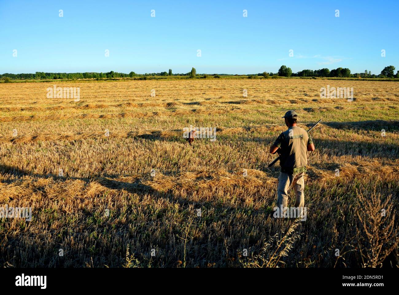 Adult hunting on grass hi-res stock photography and images - Alamy