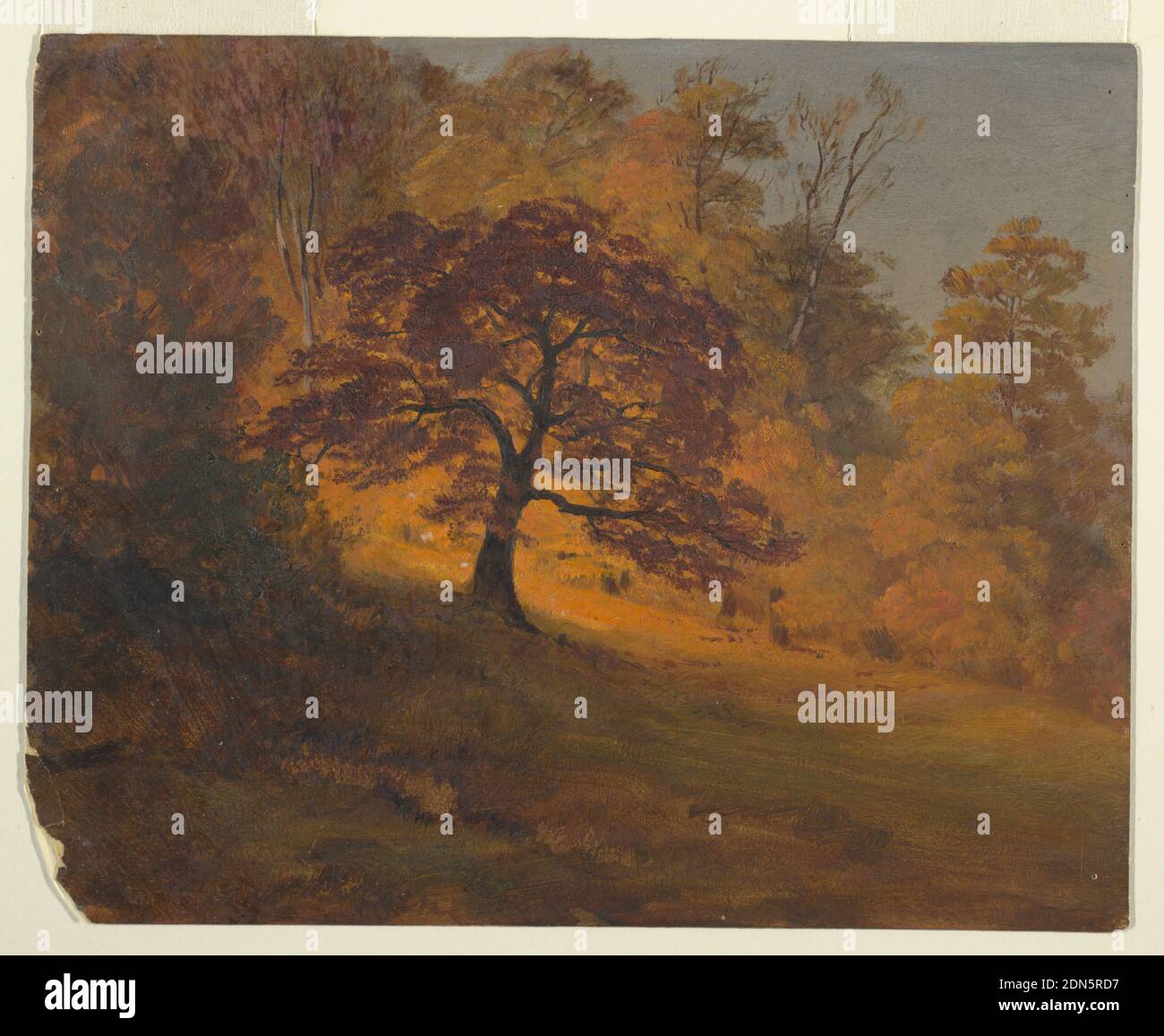 Autumn Foliage, Frederic Edwin Church, American, 1826–1900, Brush and ...