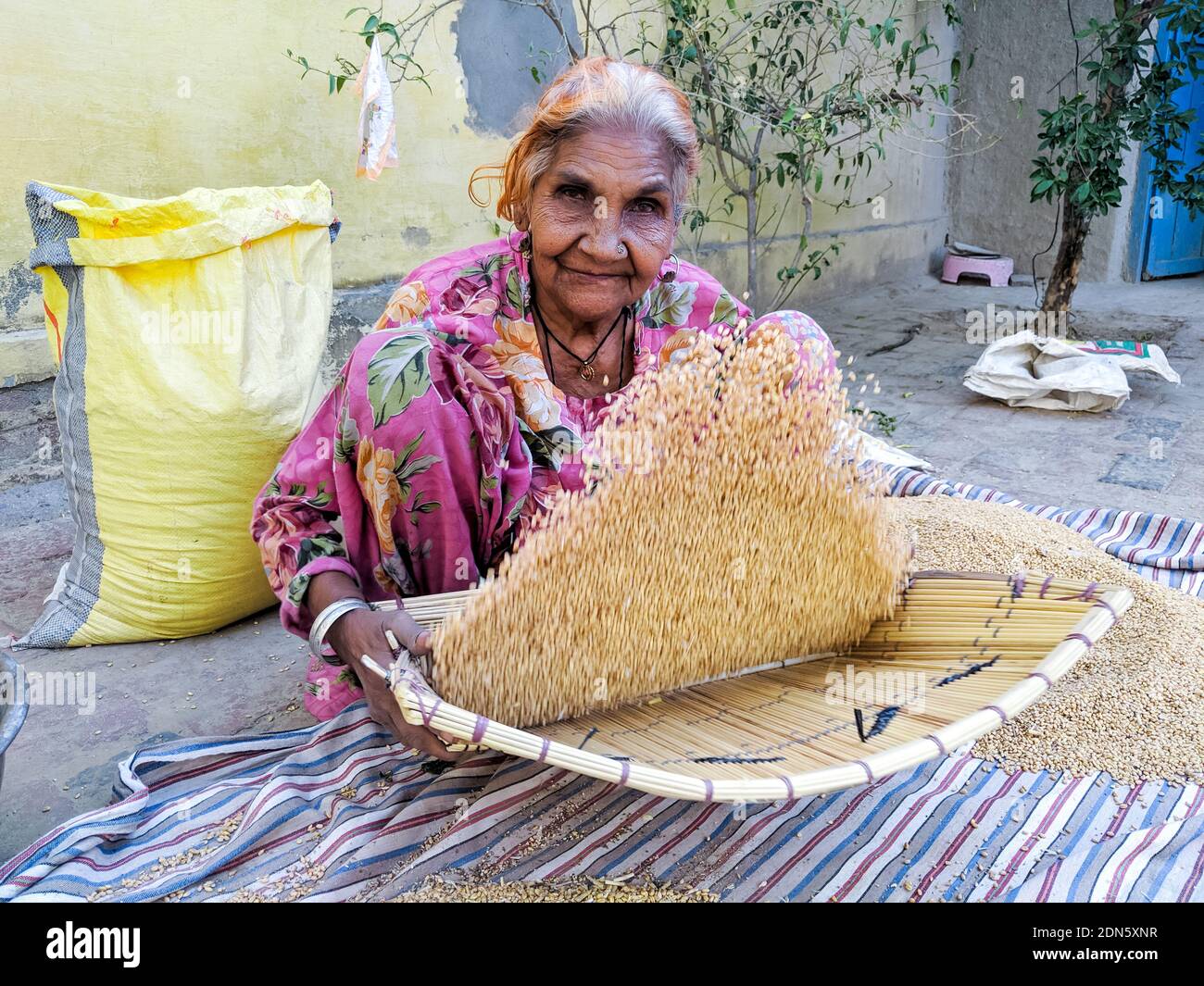 Separating rice hi-res stock photography and images - Alamy