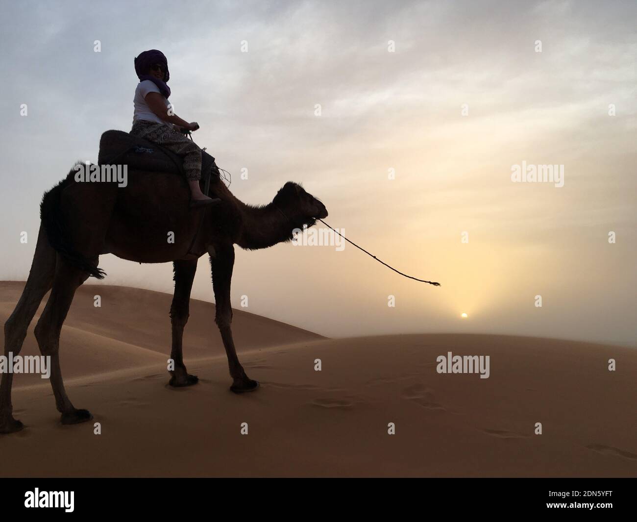 Person Riding Camel Silhouette High Resolution Stock Photography and ...