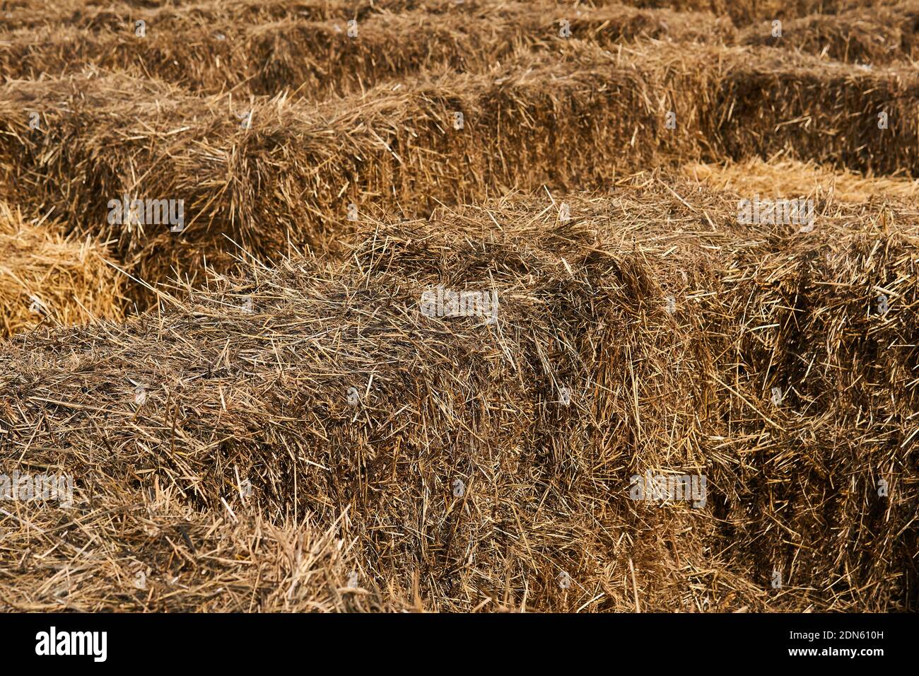 Hay maze hi-res stock photography and images - Alamy