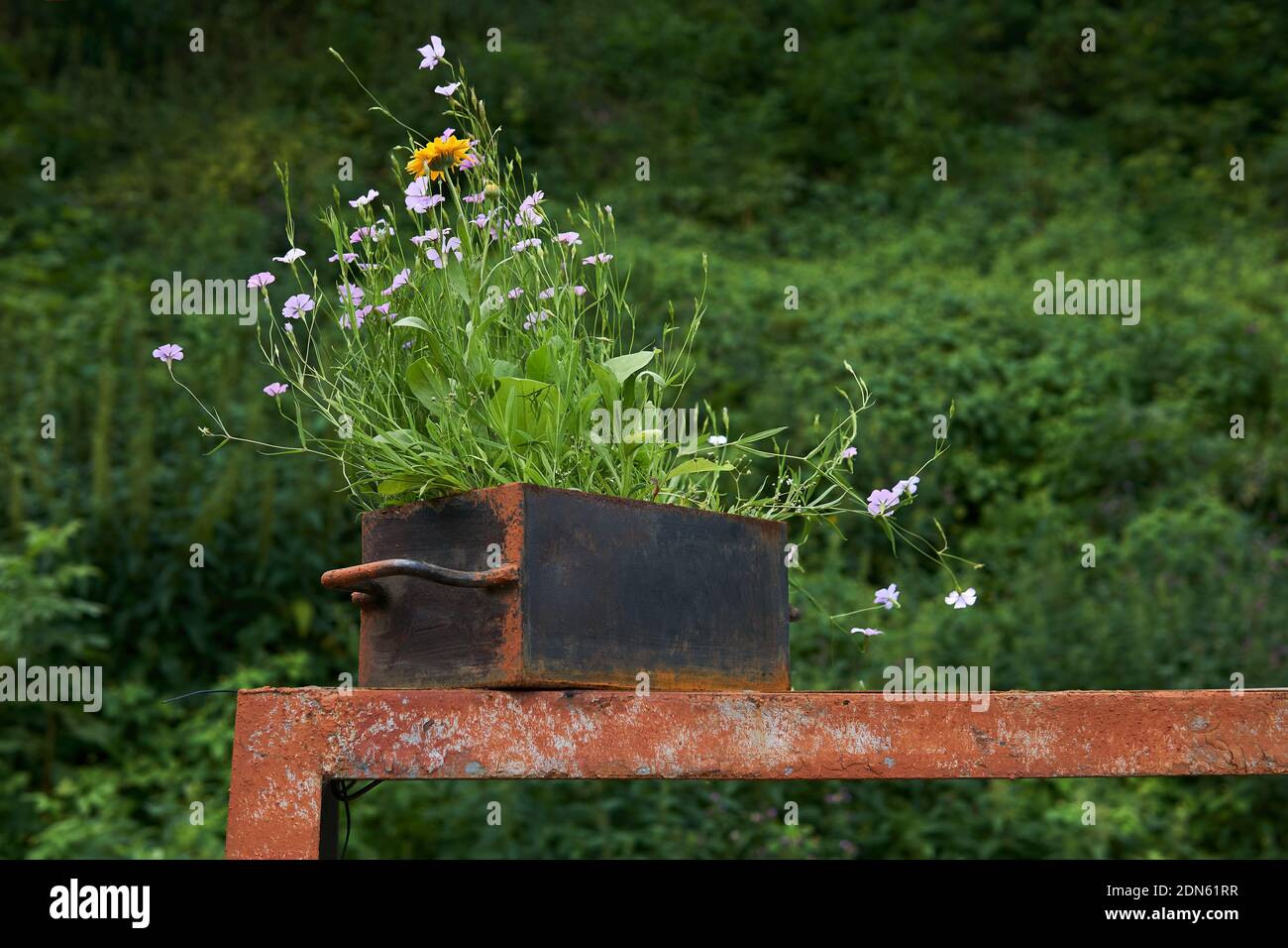small iron box with wildflowers planted in it stands on a rusty iron ...