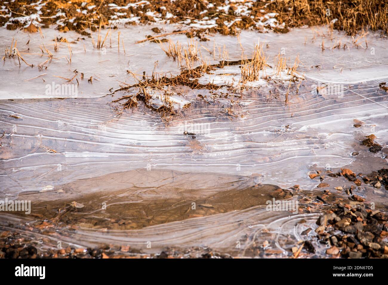 Iso lines form on a thin sheet of ice Stock Photo - Alamy