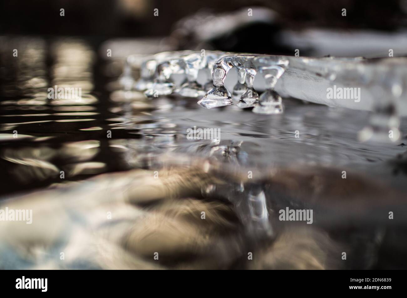 Ice little bells hi-res stock photography and images - Alamy