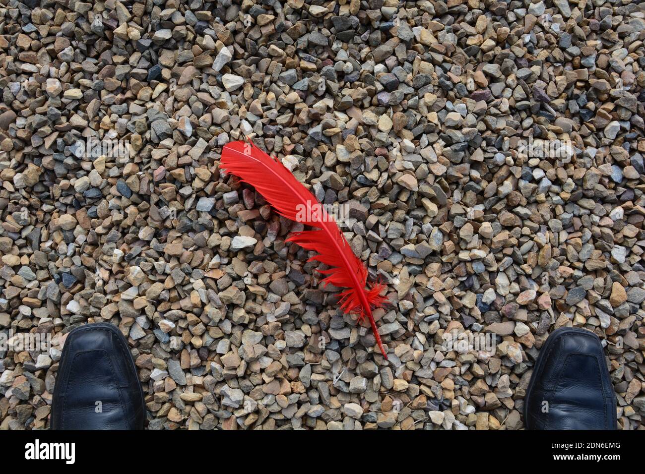 Human Carrion High Resolution Stock Photography and Images - Alamy