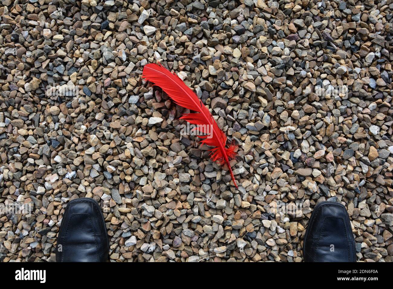 Human carrion hi-res stock photography and images - Alamy