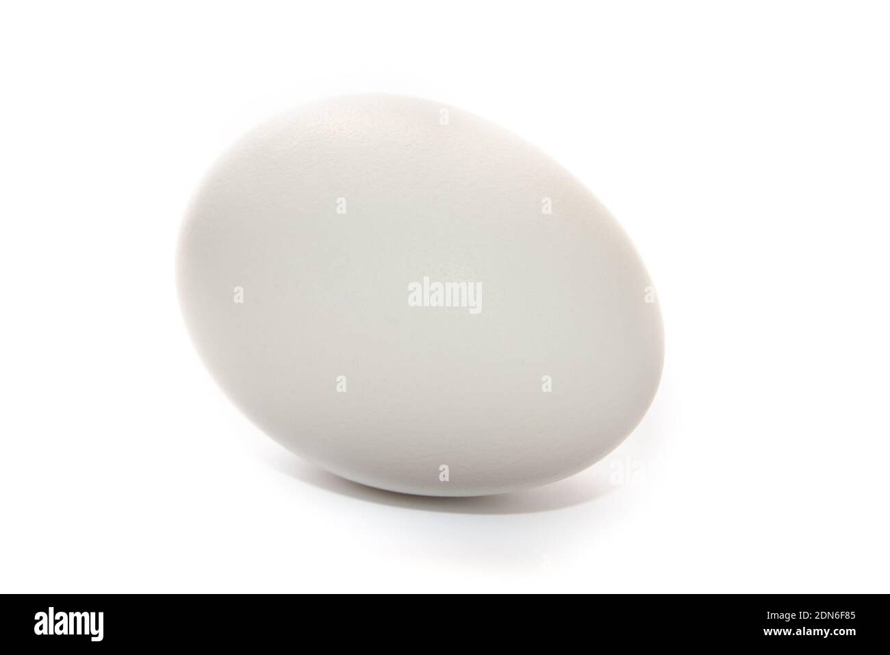 single egg isolated on a white background Stock Photo - Alamy