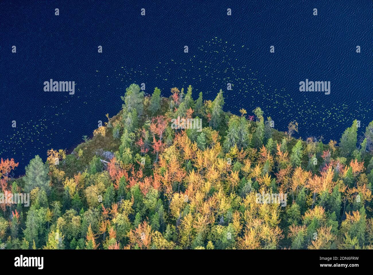 Russia, Arkhangelsk Oblast. Solovetsky Islands or Solovki form an ...