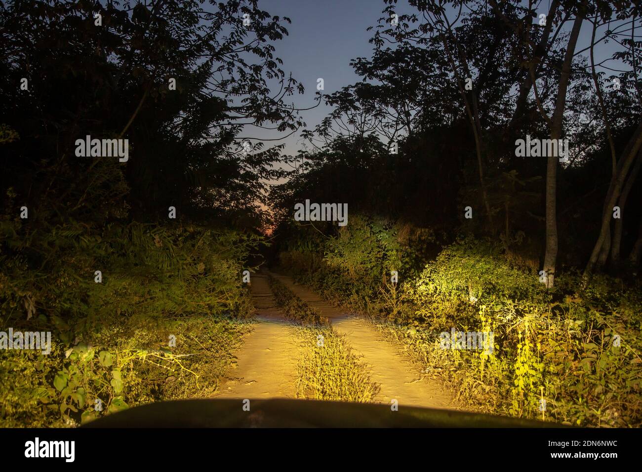Transpantaneira road crossing the Pantanal of Mato Grosso, Brazil Stock ...