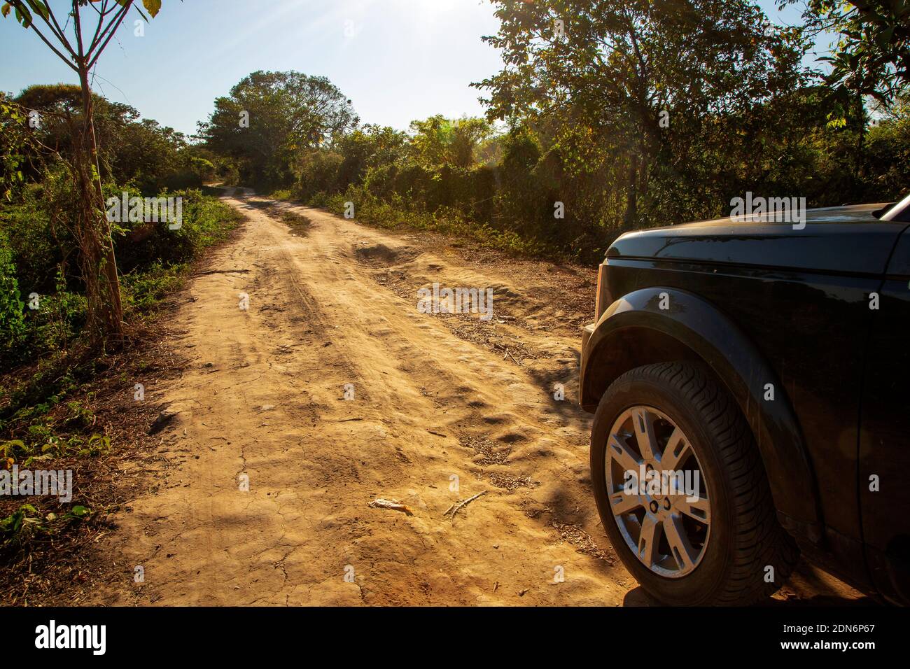 Transpantaneira road crossing the Pantanal of Mato Grosso, Brazil Stock ...