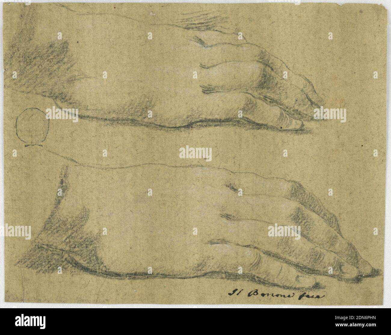 Study: Two right hands, of a woman, Black crayon and white heightening ...