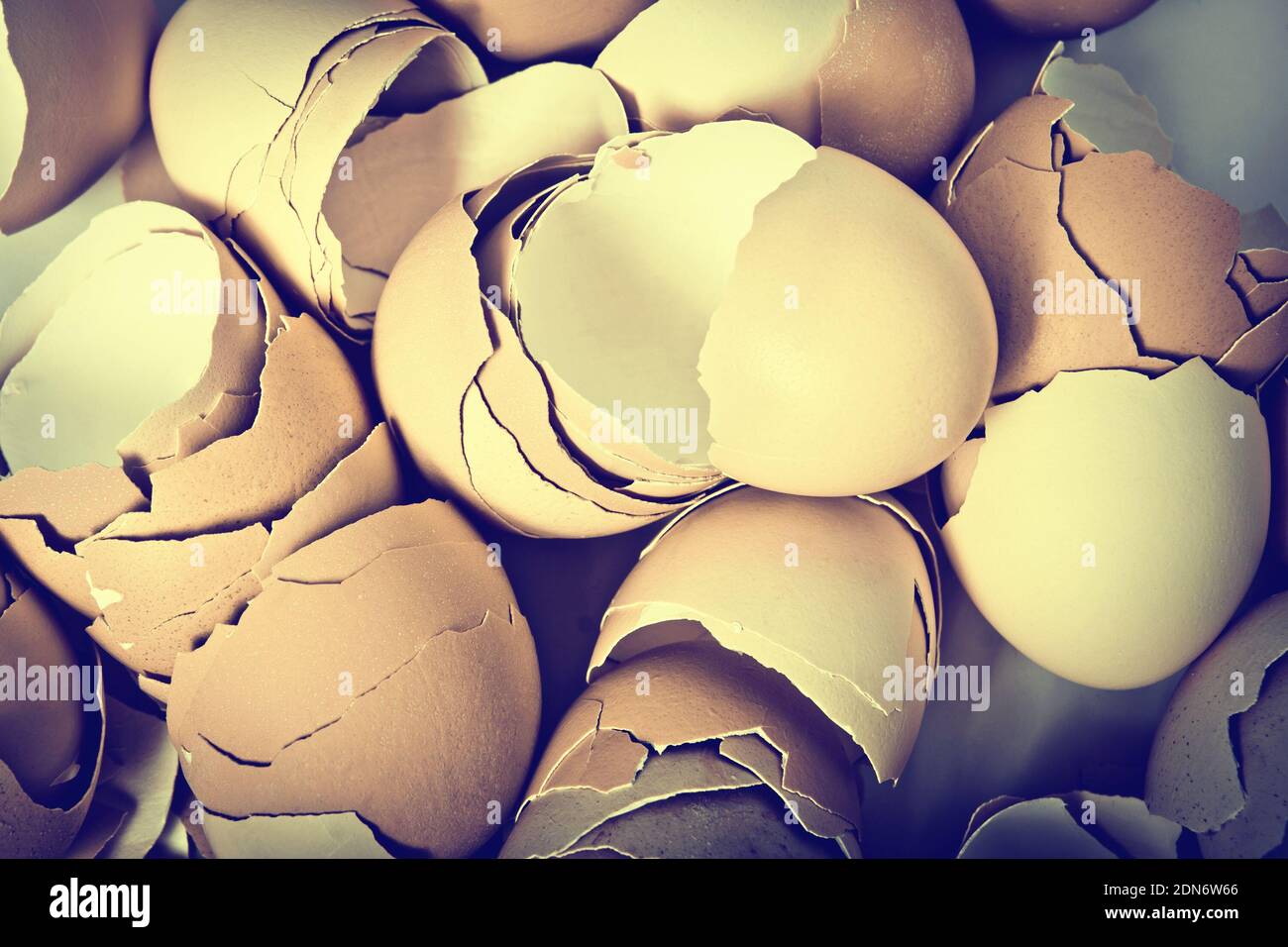 background made of egg shell Stock Photo - Alamy