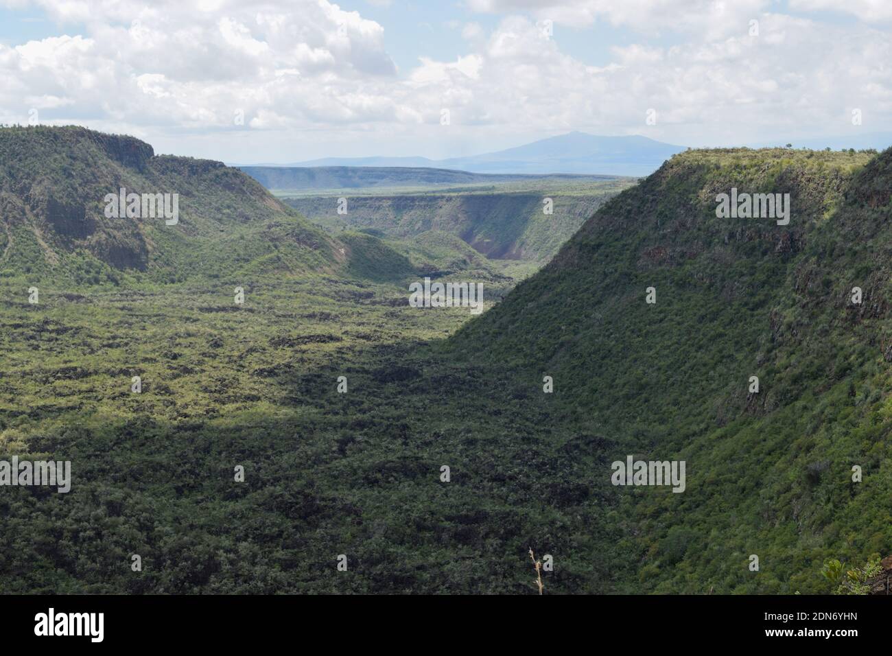 Suswa hi-res stock photography and images - Alamy