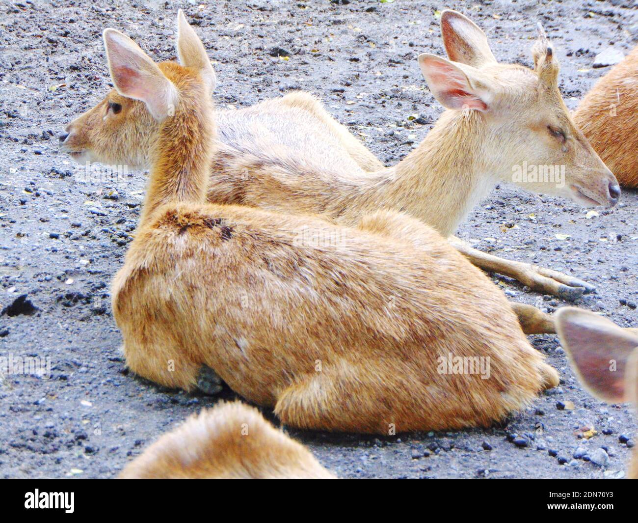 Amazing wallpapers hi-res stock photography and images - Alamy