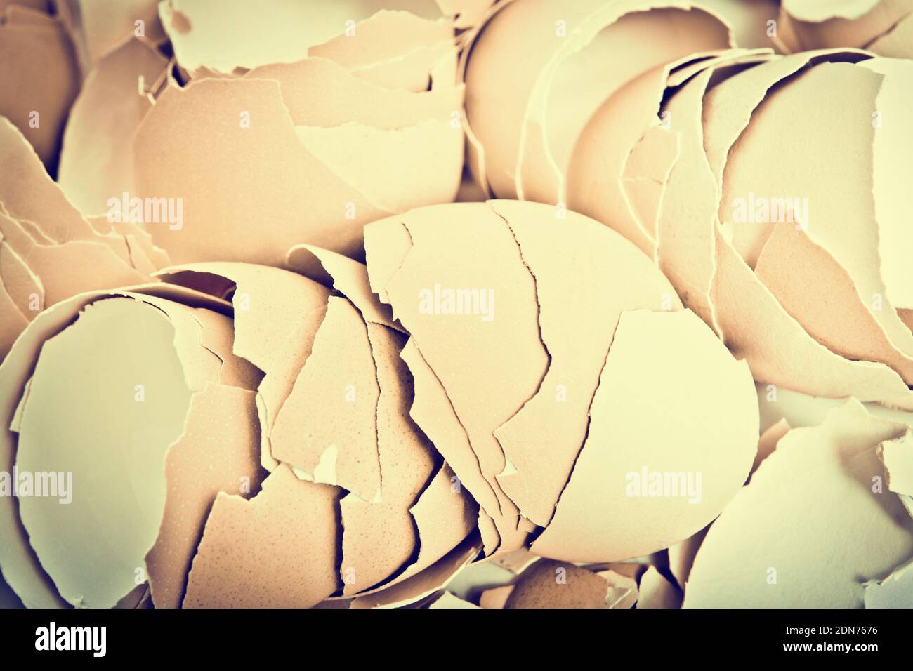 background made of egg shell Stock Photo - Alamy