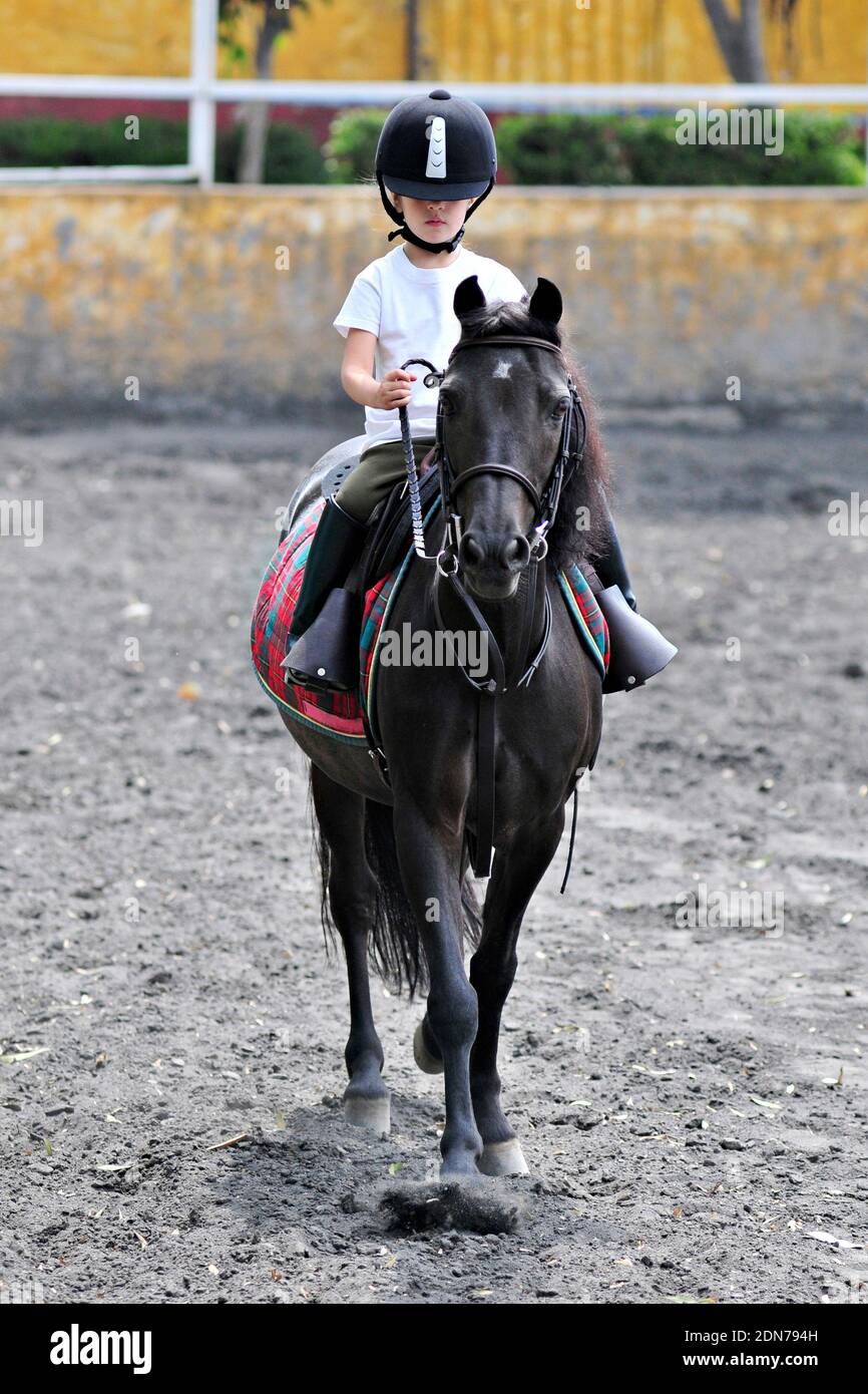 Riding animals hi-res stock photography and images - Alamy