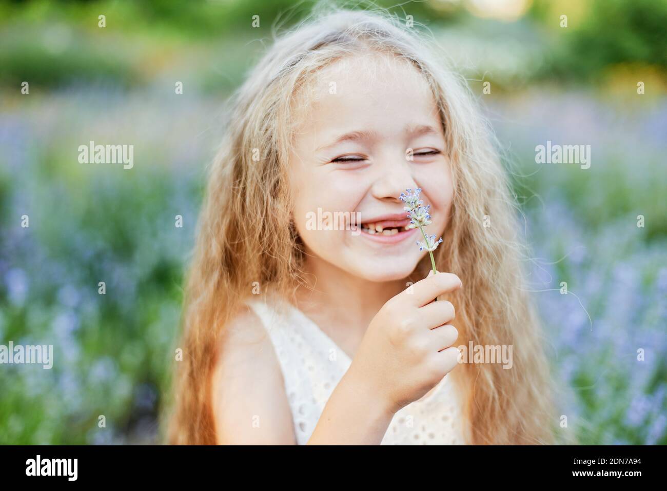 Two front teeth hi-res stock photography and images - Alamy