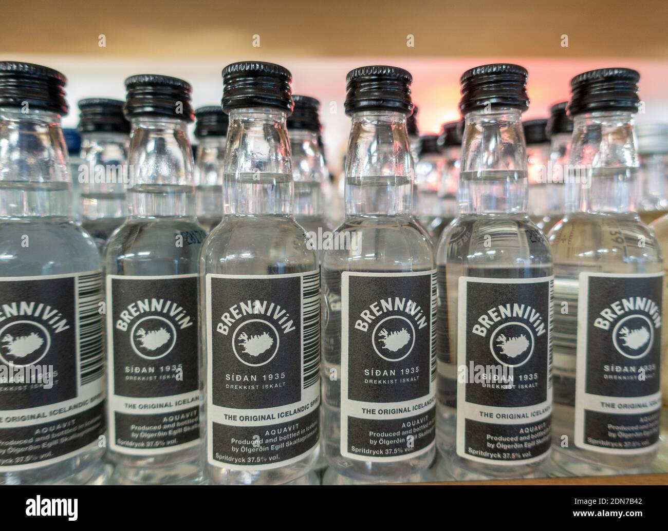 Miniature Bottles Of Icelandic Brennivin Aquavit Unsweetened Schnapps A ...