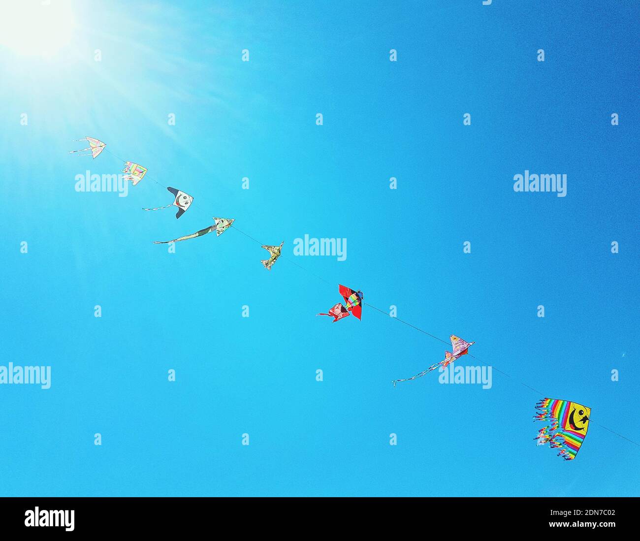 Flamingo kites hi-res stock photography and images - Alamy