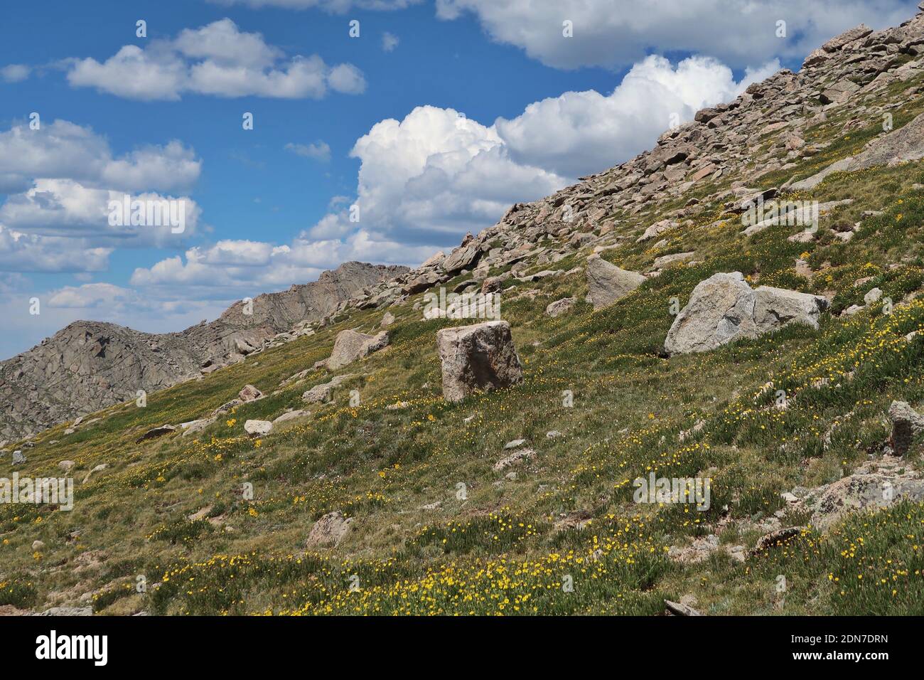 Mount evans scenic byway hi-res stock photography and images - Alamy