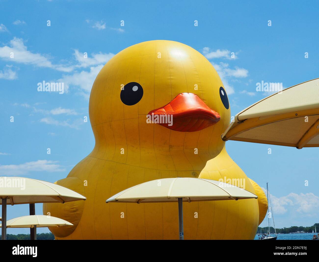Giant inflatable rubber duck hi-res stock photography and images - Alamy