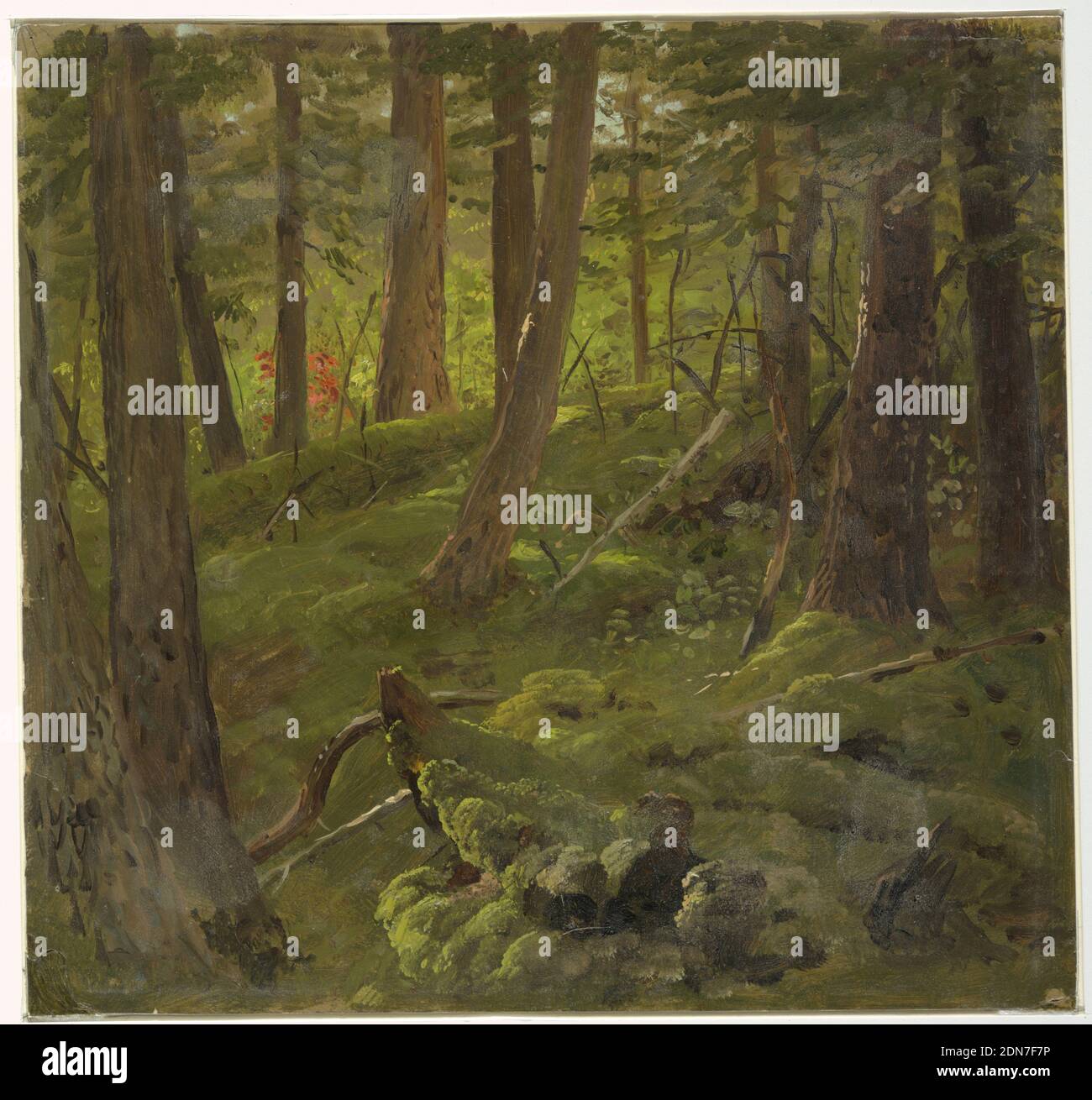 Forest in Jamaica, Frederic Edwin Church, American, 1826–1900, Brush ...