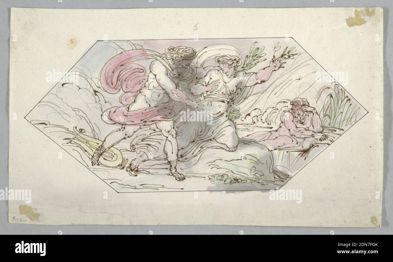 Daphne apollo laurel tree hi-res stock photography and images - Alamy