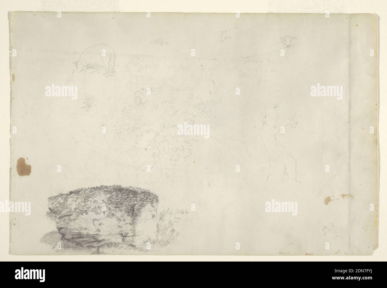 American house hidden by trees hi-res stock photography and images - Alamy