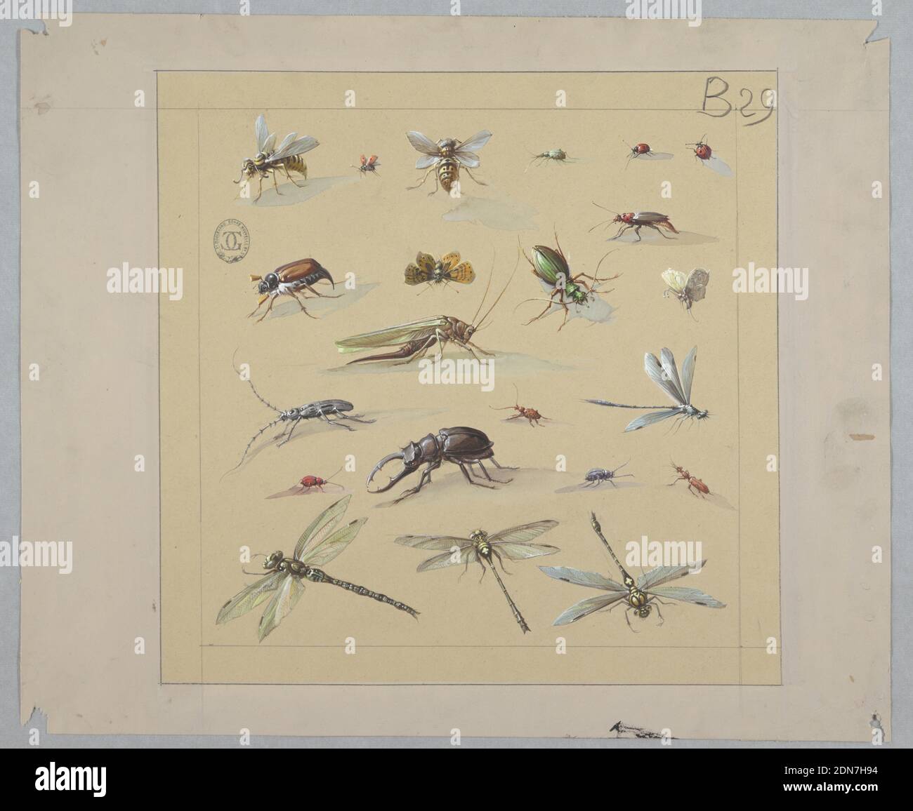 Designs for Wallpaper and Textiles: Insects, Brush and gouache ...