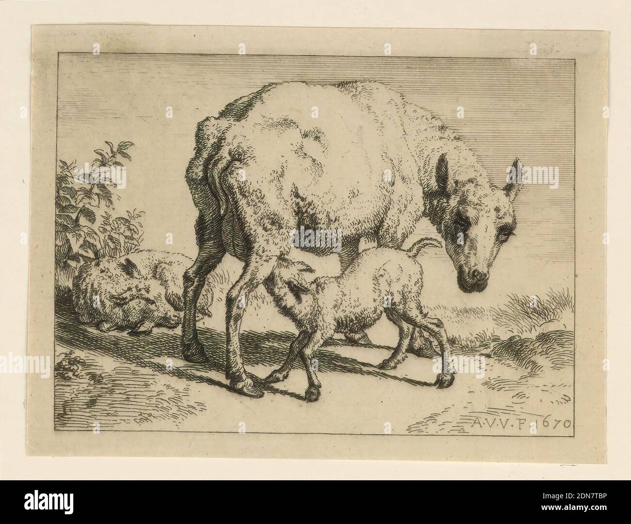 The Ewe, Adrian van de Velde, Dutch, 1636 - 1672, Etching on paper ...