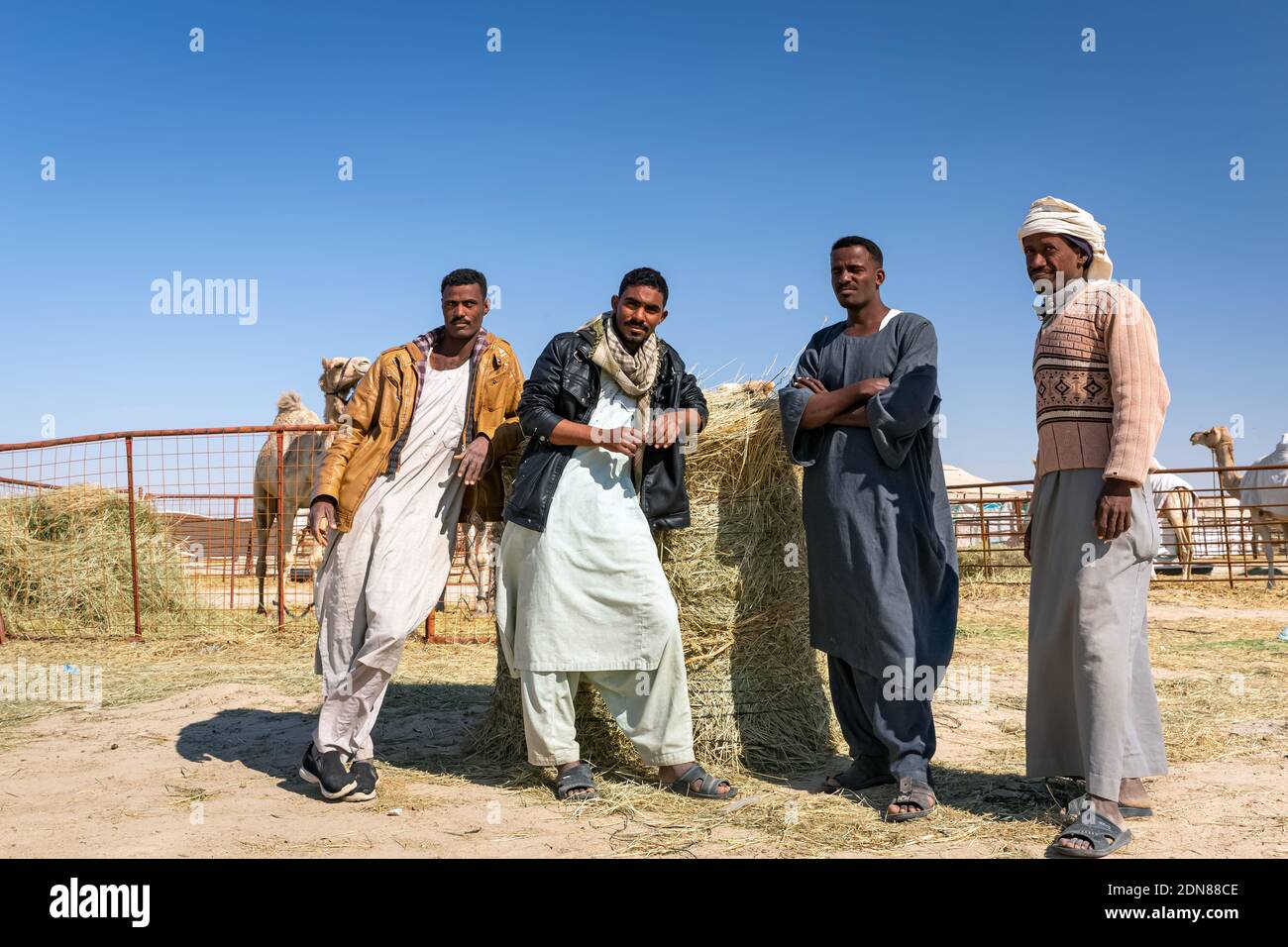 Arabian Desert People