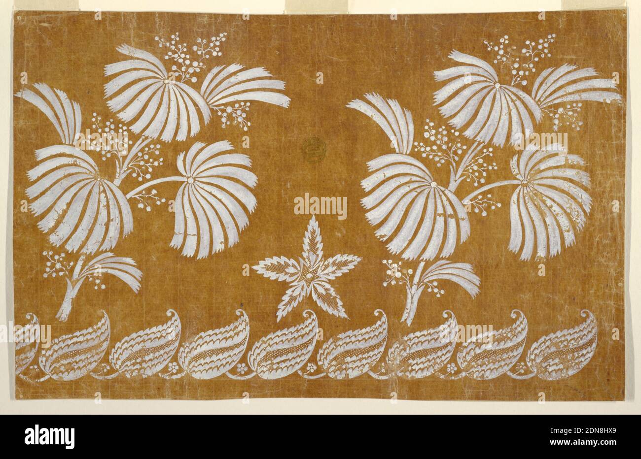 Lacy leaf rosette hi-res stock photography and images - Alamy