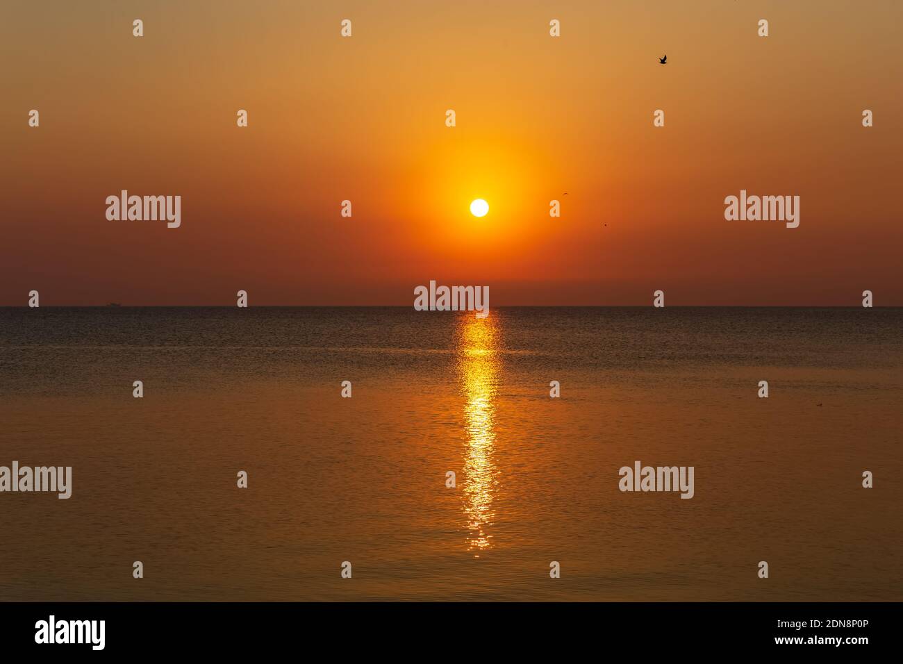 sunset on the beach, Al Khobar Saudi Arabia Stock Photo - Alamy