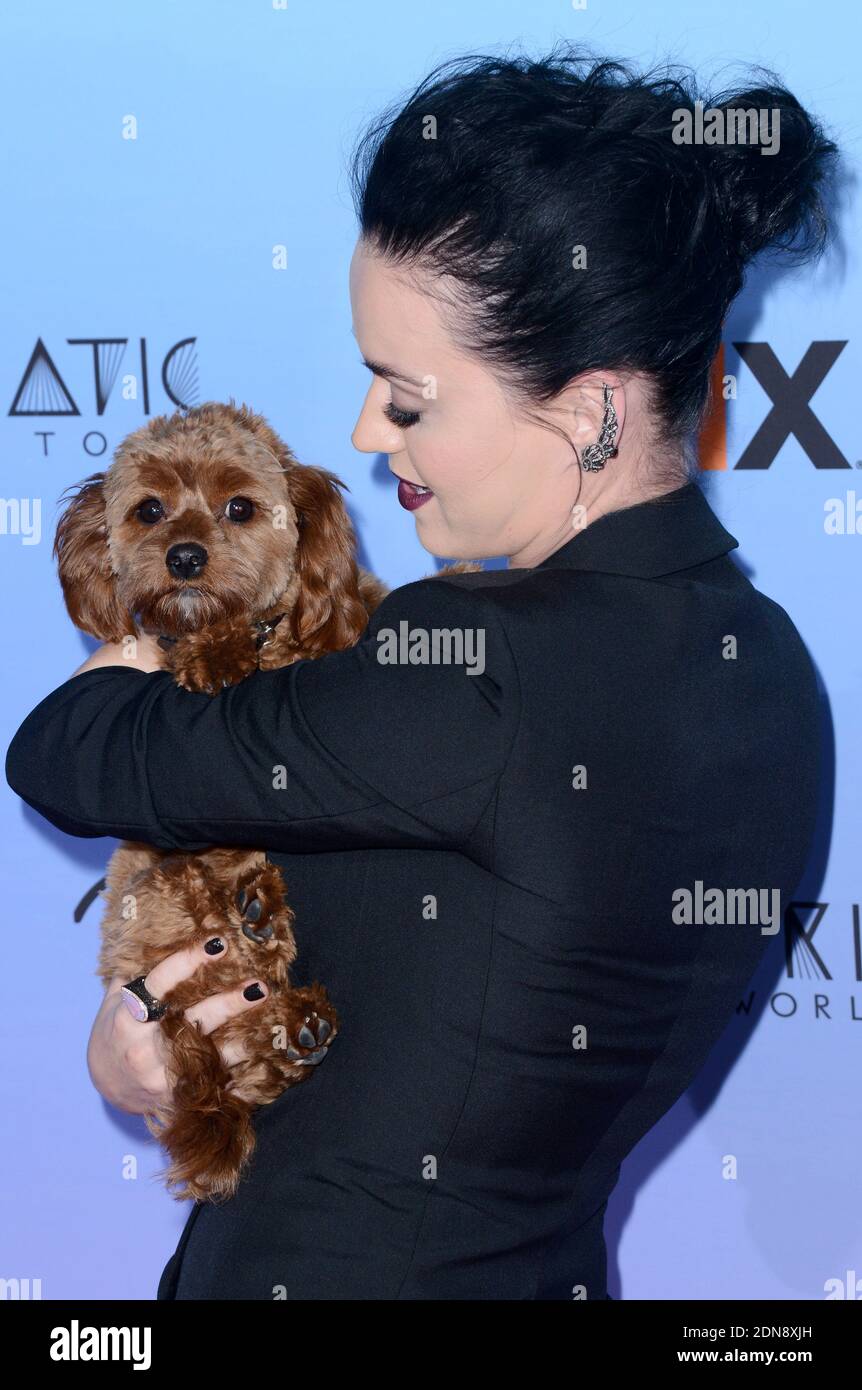 Singer Katy Perry with her dog Butters attend the screening of EPIX ...