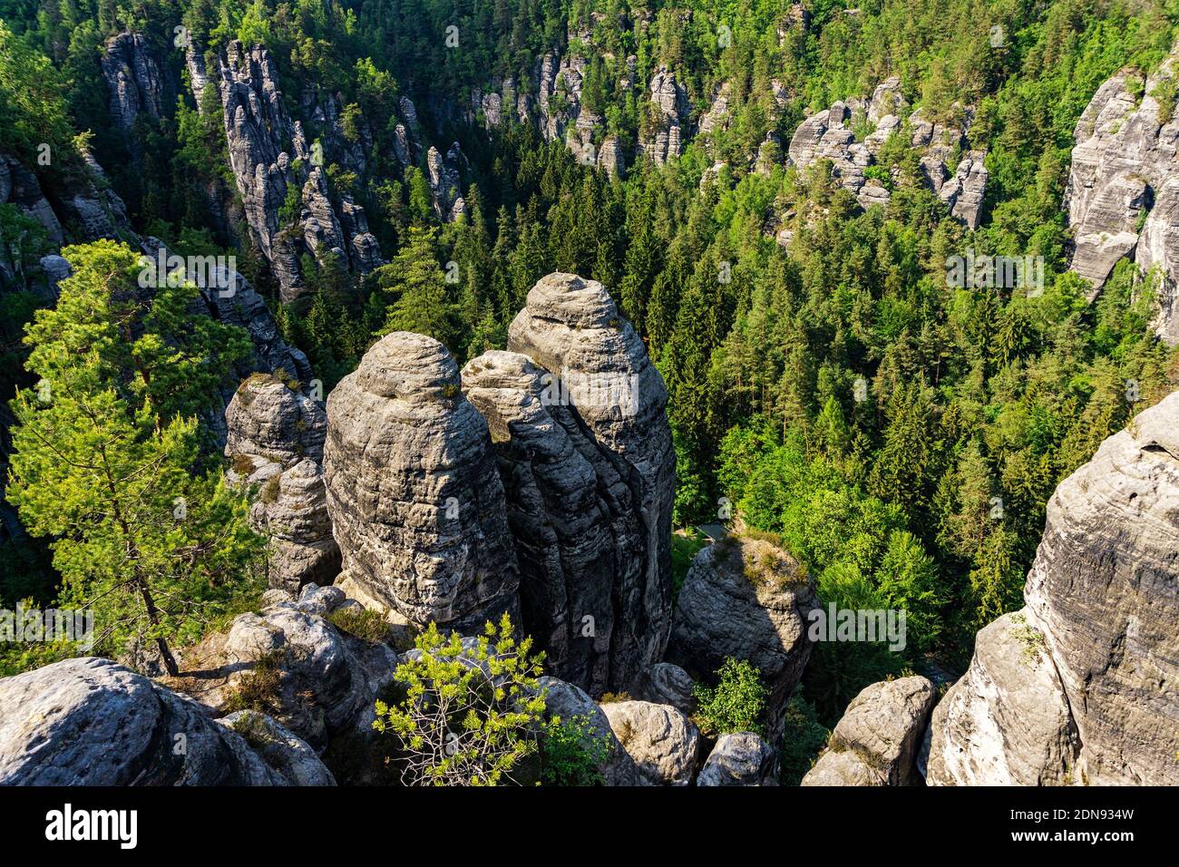 Saxon switzerland animals hi-res stock photography and images - Alamy
