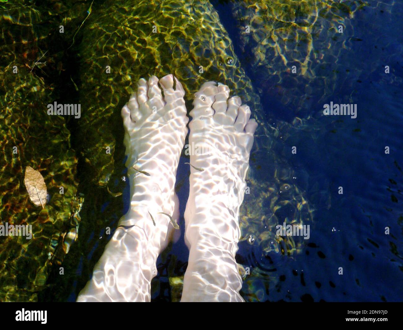 School section lake hi-res stock photography and images - Alamy