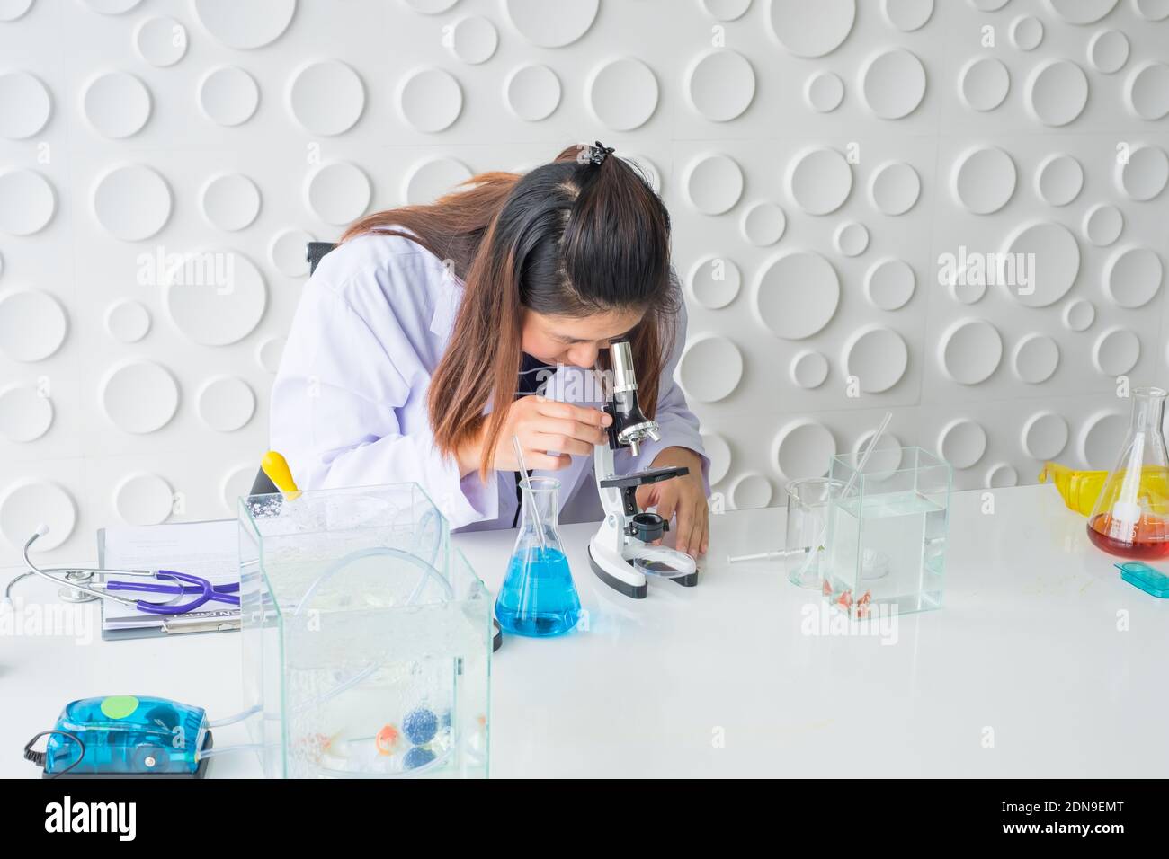 Scientist Performing Scientific Experiment At Laboratory Stock Photo ...