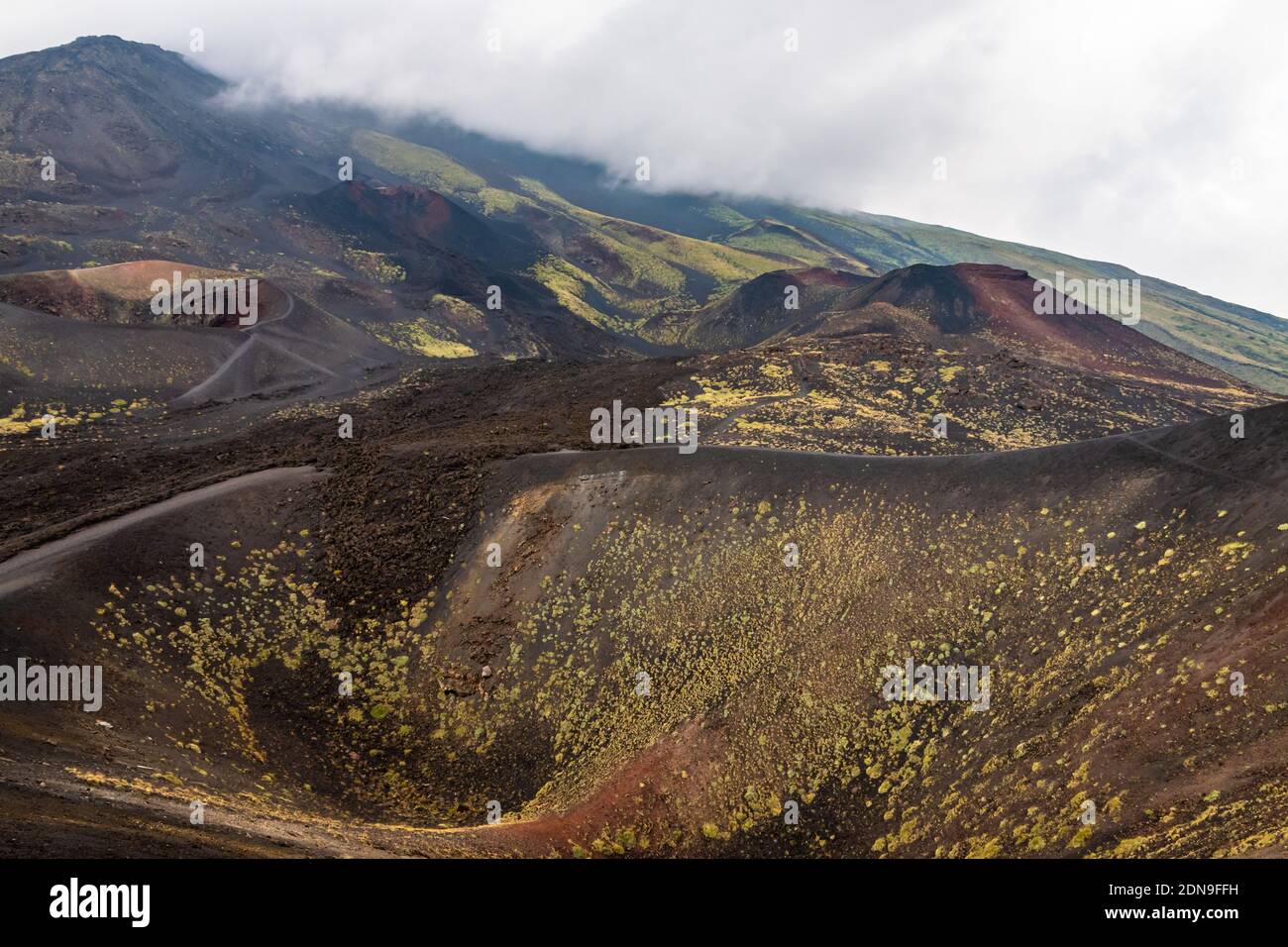 Mount Etna volcanic landscape and its typical vegetation, Sicily Stock ...