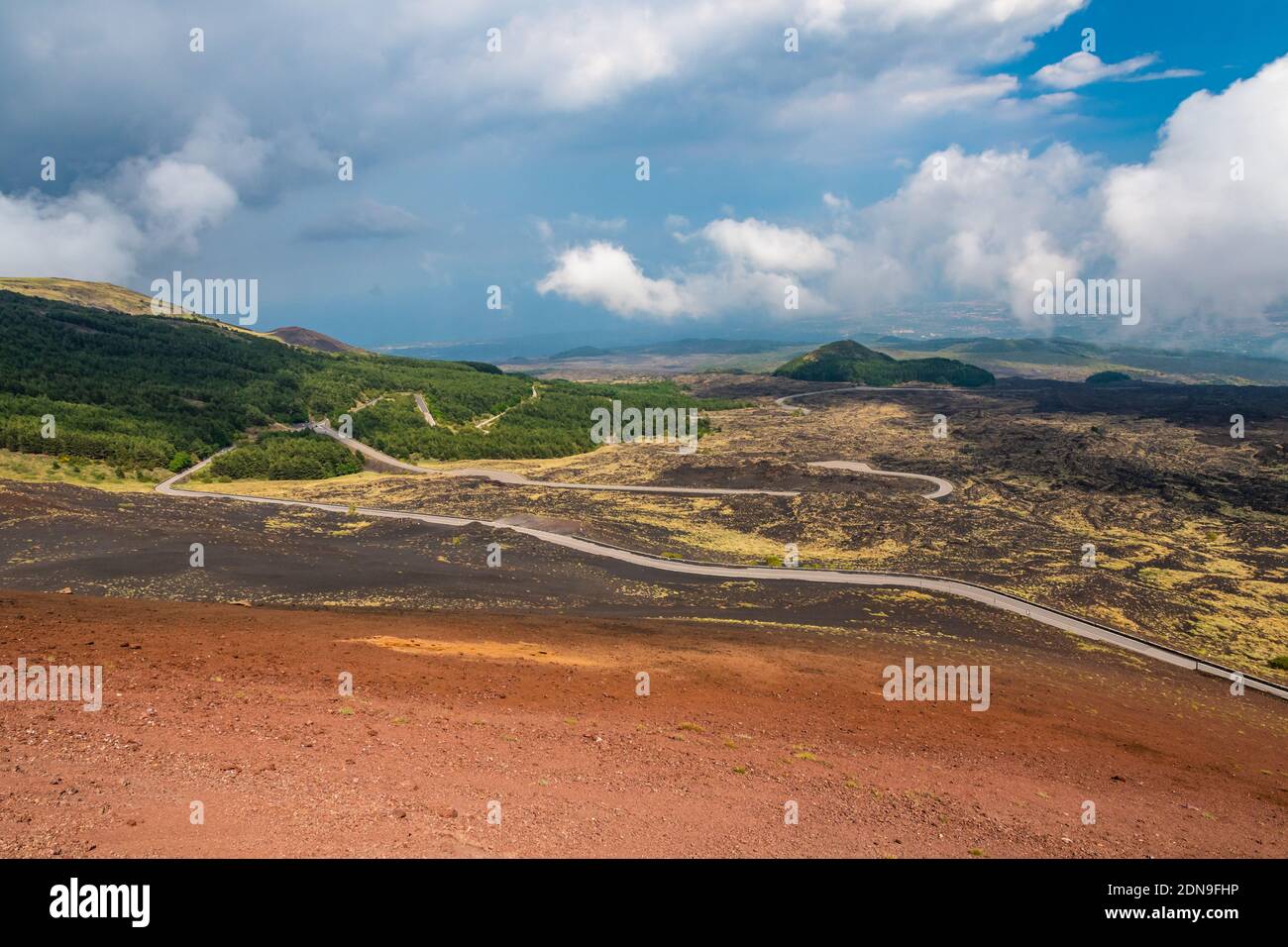 Mount Etna volcanic landscape and its typical vegetation, Sicily Stock ...