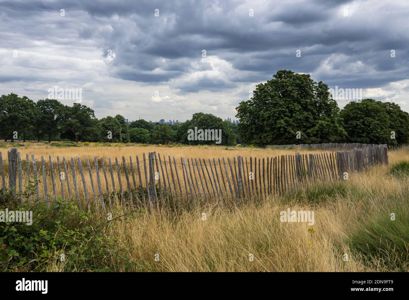 Richmond Park in the city of London Stock Photo - Alamy