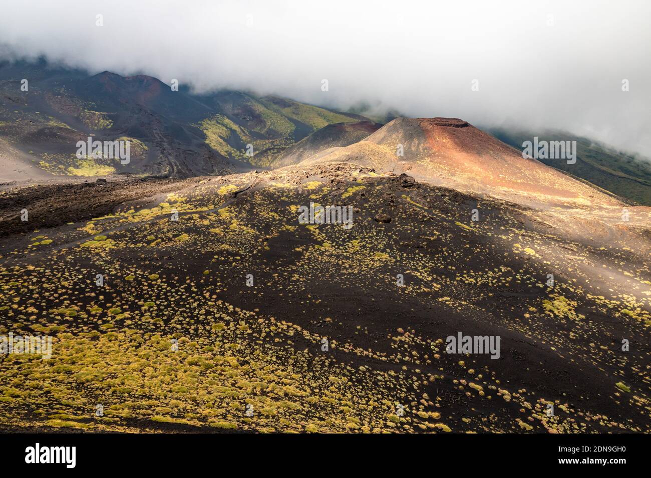 Mount Etna volcanic landscape and its typical vegetation, Sicily Stock ...