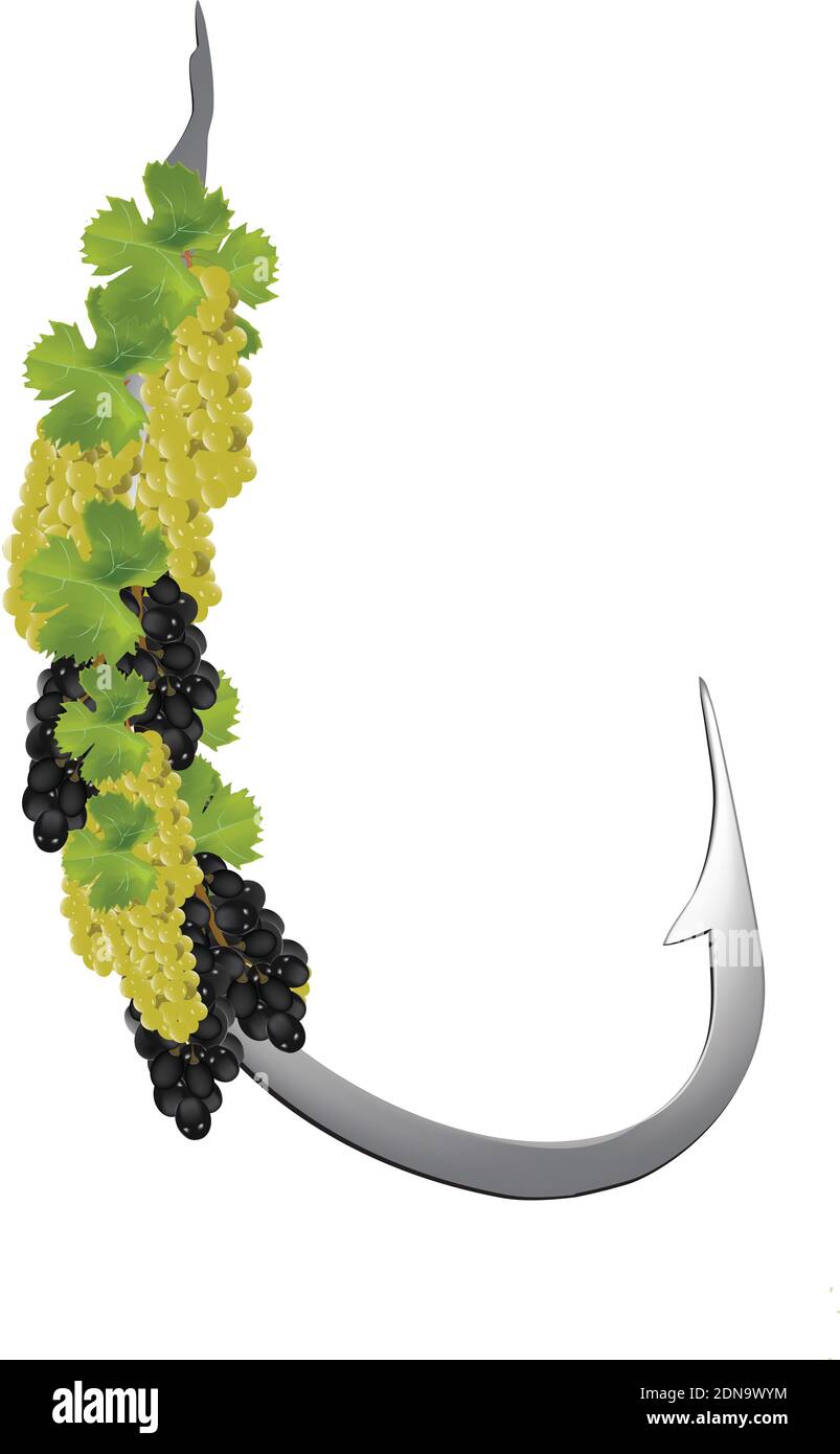 A vertical illustration of a hook with grapes isolated on white ...
