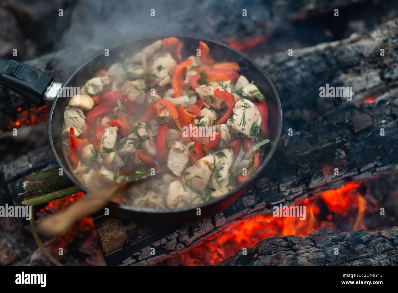Frying chicken with vegetables in pan on fire. Winter picnic in forest ...