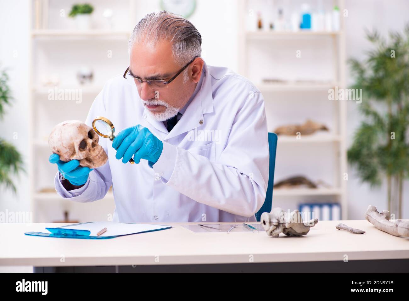 Old male paleontologist working hi-res stock photography and images - Alamy