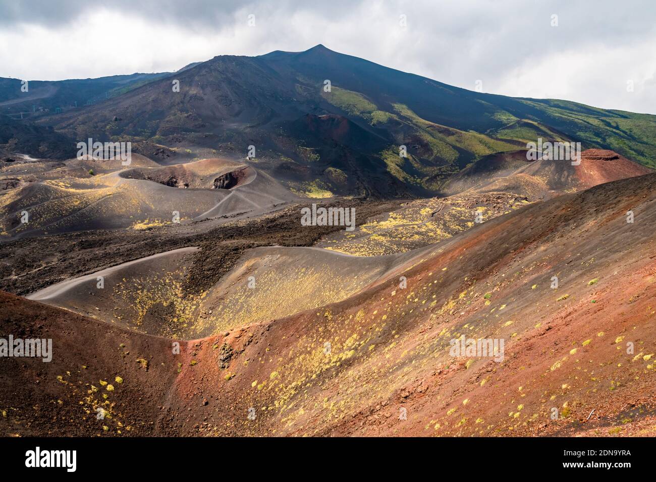 Mount Etna volcanic landscape and its typical vegetation, Sicily Stock ...