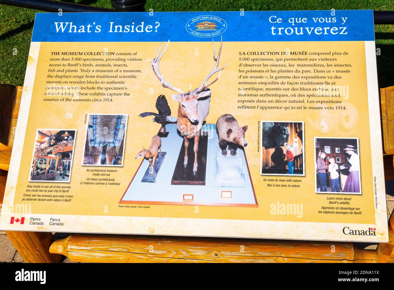 Interpretive sign at the Banff Museum, Banff National Park, Alberta ...